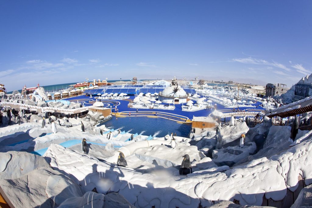 Ice Land Water Park |Things To Do in Dubai| CliftonTours
